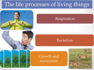 Life processes | PPT