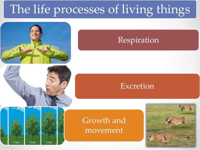 Life processes