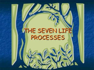 Lifeprocesses | PPT