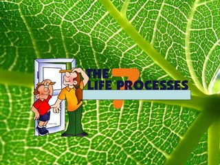 Life processes | PPT