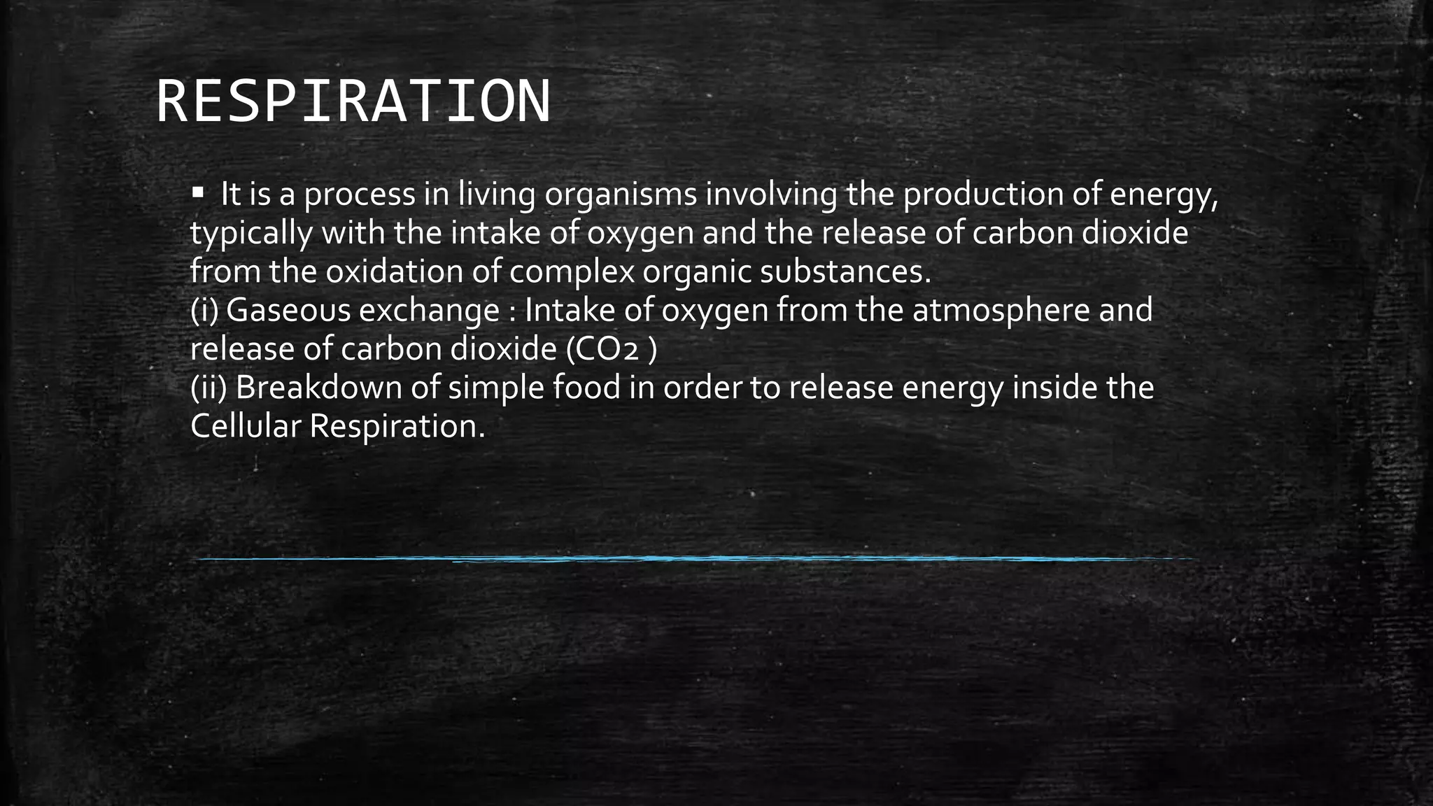 Life processes | PPTX