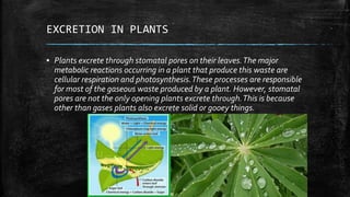 Life processes | PPTX