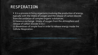 Life processes | PPTX