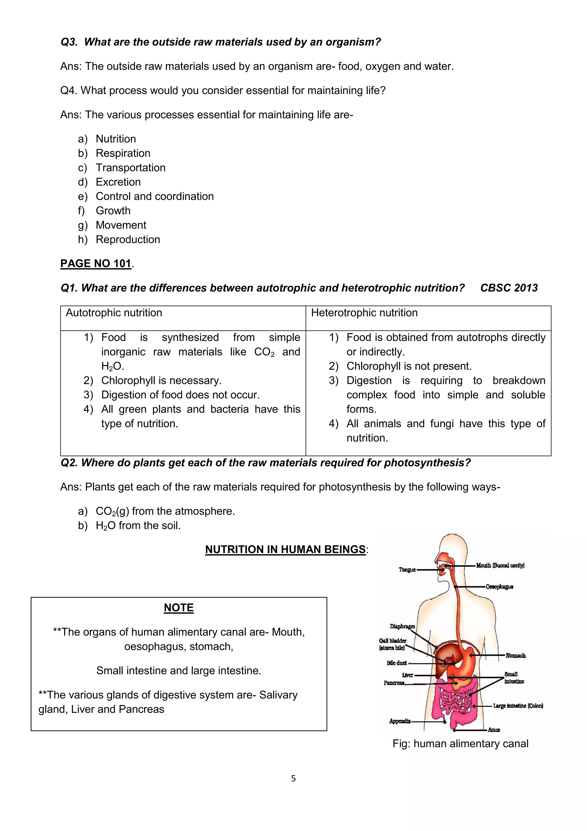 Life processes | PDF