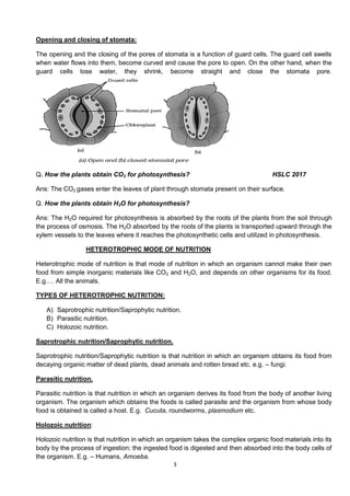 Life processes | PDF
