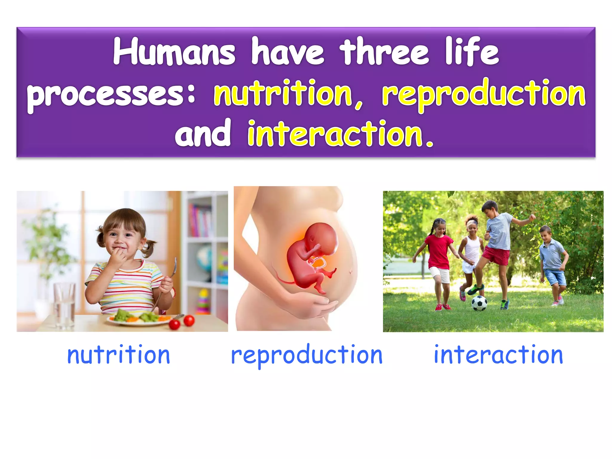 Life processes | PPT