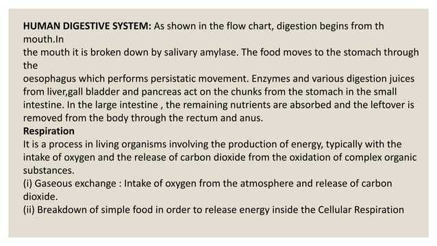 Life processes | PPT