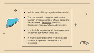 LIFE PROCESSES-PART 1 : NUTRITION - CBSE CLASS 10 BIOLOGY.pdf