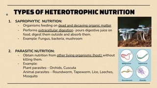 LIFE PROCESSES-PART 1 : NUTRITION - CBSE CLASS 10 BIOLOGY.pdf