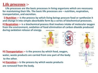 Life processes | PPTX