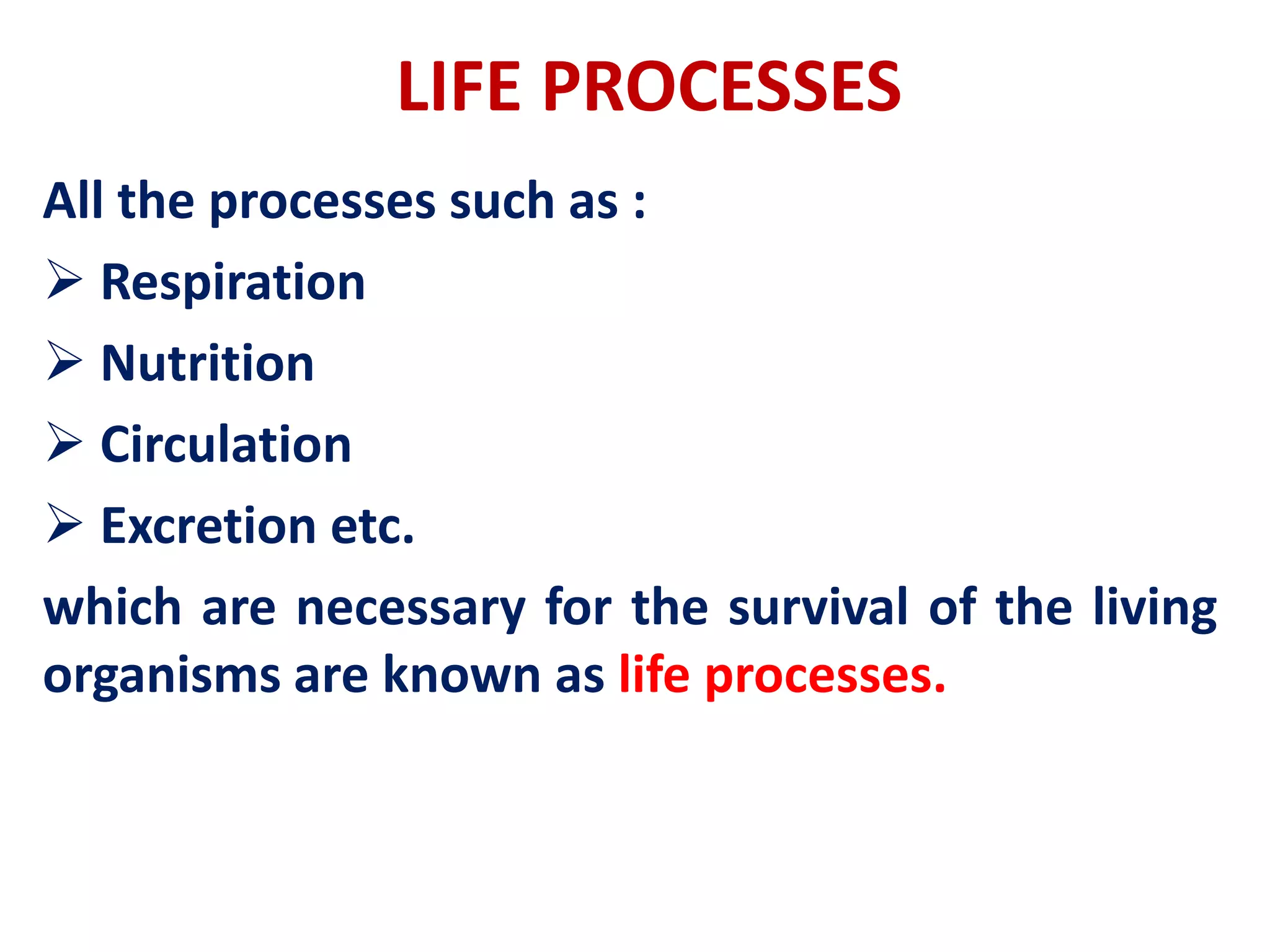 Life processes | PPTX
