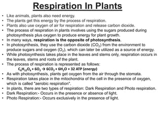 Life Processes for Class 10 | PPTX