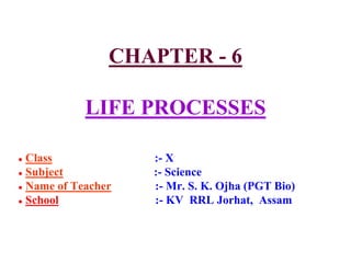 LIFE PROCESSES.ppt.pptx | Chemistry | Science