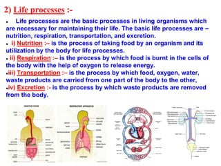 LIFE PROCESSES.ppt.pptx