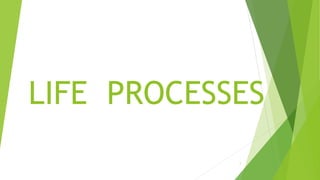 LIFE PROCESSES.pdf