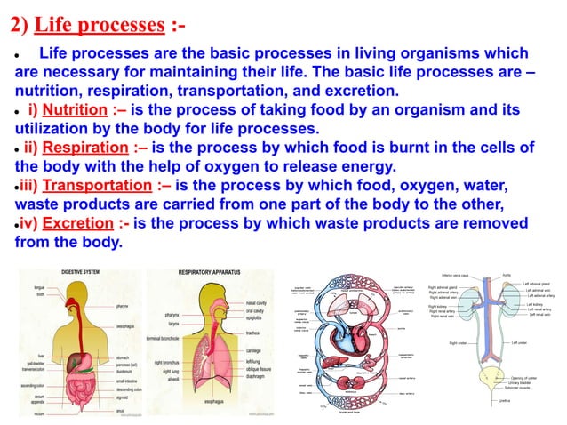 LIFE PROCESSES.ppt.pdf