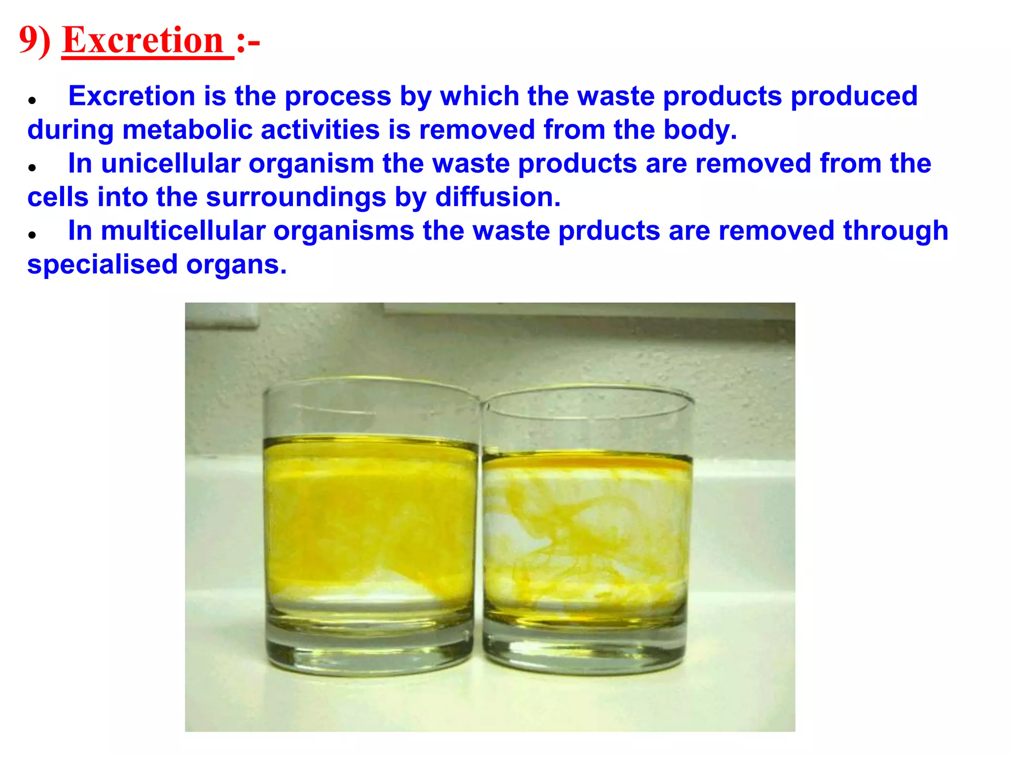 LIFE PROCESSES.ppt.pptx | Nutrition | Healthy Living