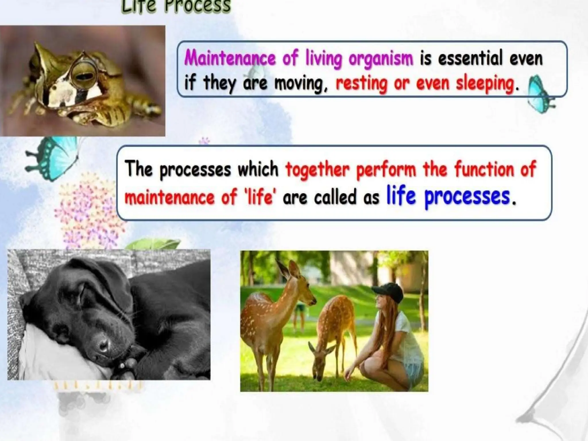 Life processes, biology class 10 PPT.pptx | Chemistry | Science