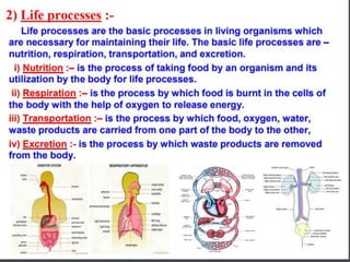 Life processes, biology class 10 PPT.pptx | Chemistry | Science