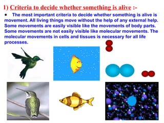 LIFE PROCESSES of every organism and plant | PPTX