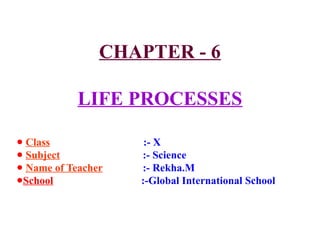 GRADE 10 SCIENCE BIOLOGY CHAPTER1 LIFE PROCESSES.ppt (1).pptx