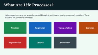 life _ processes . pdf , by ishanna . | PDF