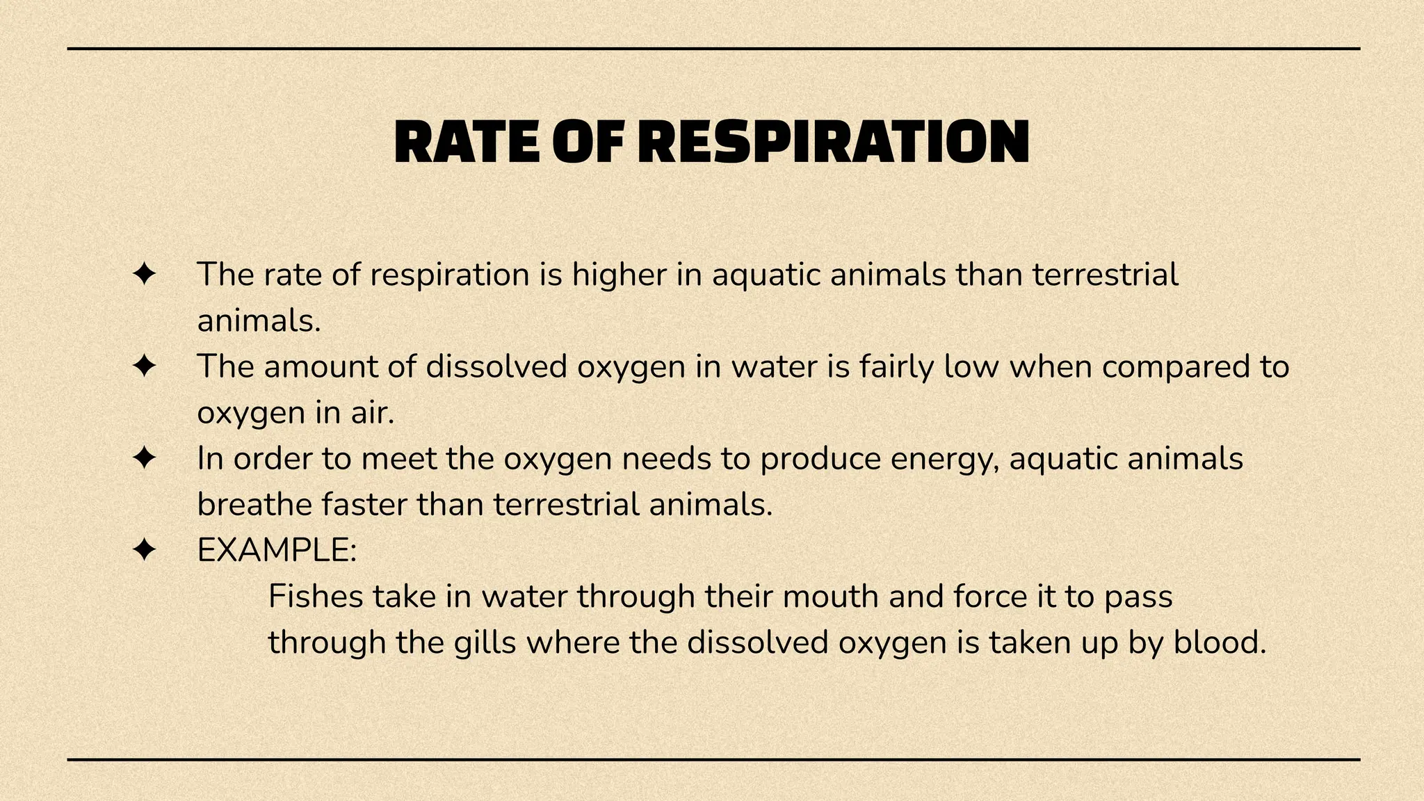 LIFE PROCESSES - PART 2 -RESPIRATION.pdf