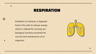 LIFE PROCESSES - PART 2 -RESPIRATION.pdf