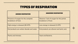 LIFE PROCESSES - PART 2 -RESPIRATION.pdf