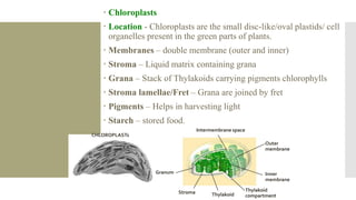 Life processes-I | PPTX