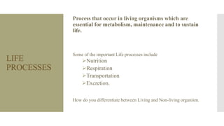 Life processes-I | PPTX