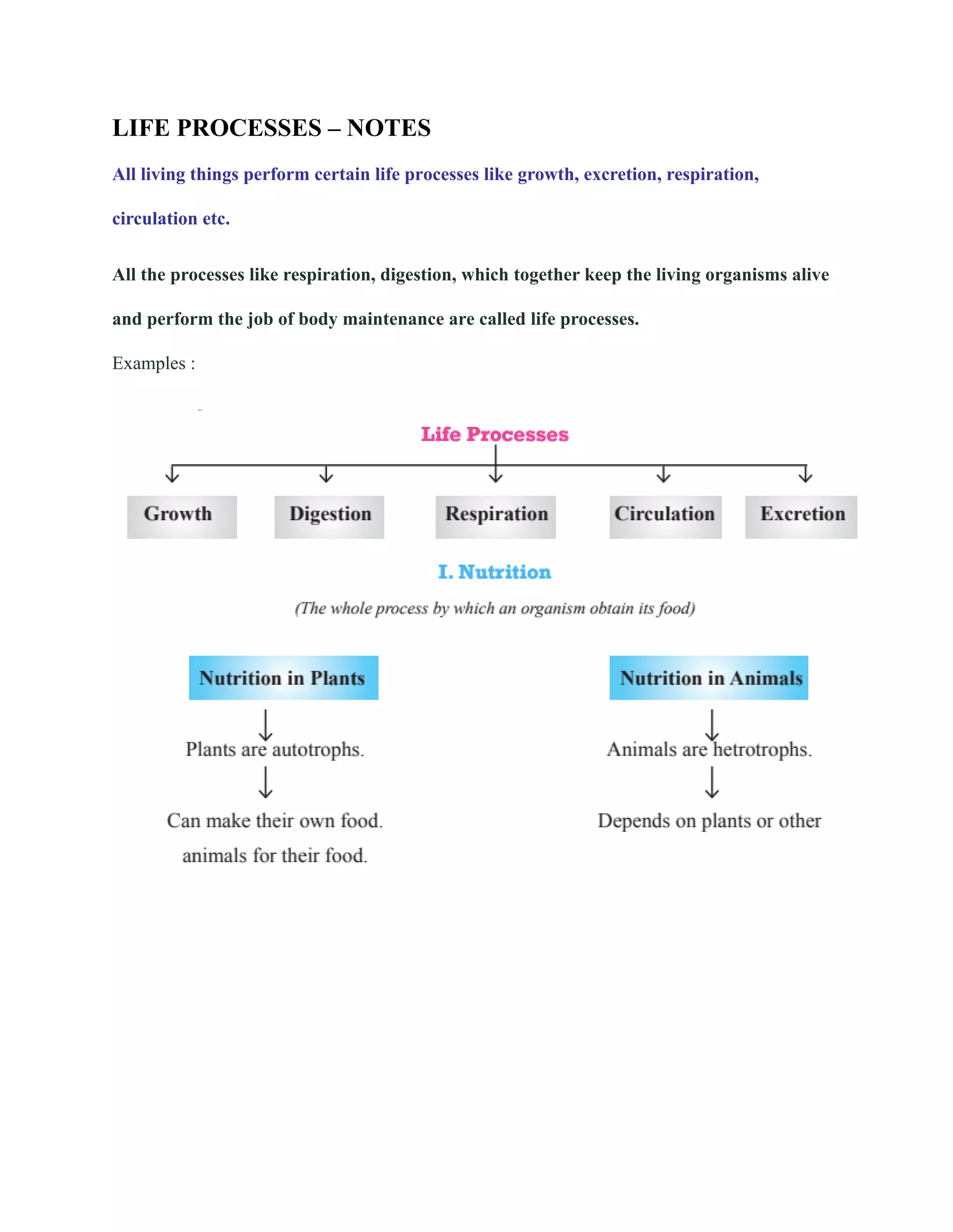 Life processes notes | PDF