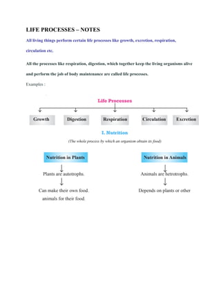 Life processes notes | PDF