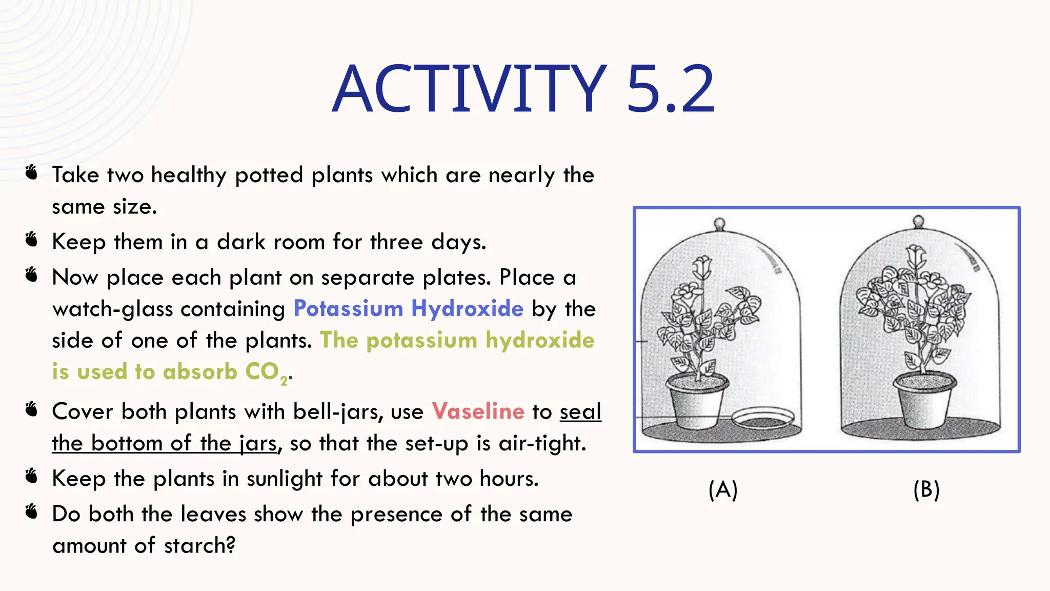 Life Processes - Nutrition IN ANIMALS AND PLANTS | PPT