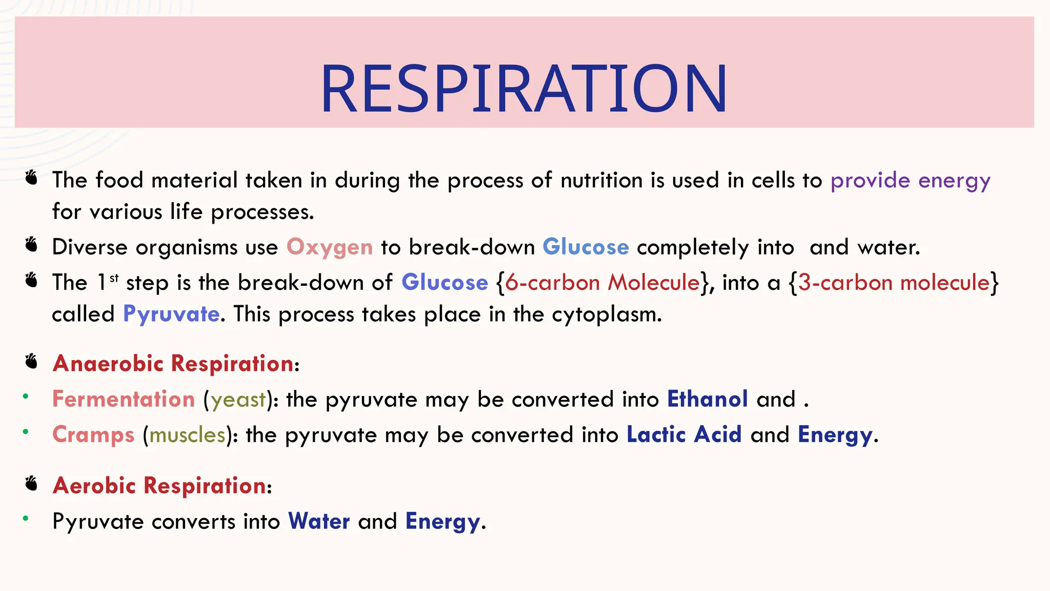 Life Processes - Nutrition IN ANIMALS AND PLANTS | PPT