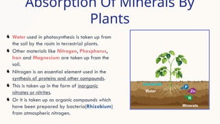 Life Processes - Nutrition IN ANIMALS AND PLANTS | PPTX