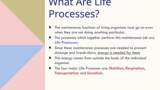 Life Processes - Nutrition IN ANIMALS AND PLANTS | PPTX