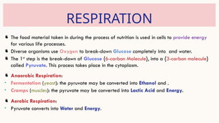 Life Processes - Nutrition IN ANIMALS AND PLANTS | PPTX