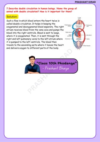 Life Processes - Short Notes (Prashant Kirad).pdf