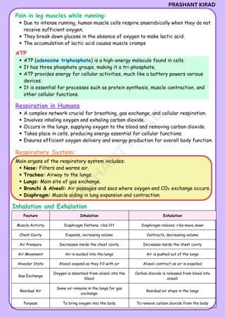 Life Processes - Short Notes (Prashant Kirad).pdf