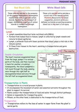 Life Processes - Short Notes (Prashant Kirad).pdf