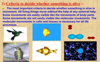 LIFE PROCESSES10.pptx