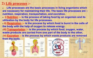 LIFE PROCESSES10.pptx | Nutrition | Healthy Living