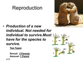 LIfe_processes_2010.pptxBiooolooogyyyyyy | PPT