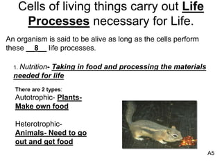 LIfe_processes_2010.pptxBiooolooogyyyyyy | PPT