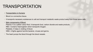 LIFE PROCESSES (Part-2) | PPT