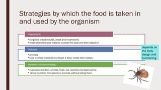 Class 10 biology ch 1 LIFE PROCESSES revision notes | PPTX