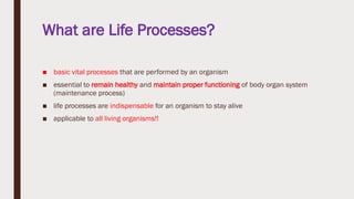 Class 10 biology ch 1 LIFE PROCESSES revision notes | PPTX