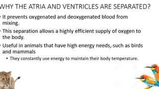 Class 10 biology ch 1 LIFE PROCESSES revision notes | PPTX
