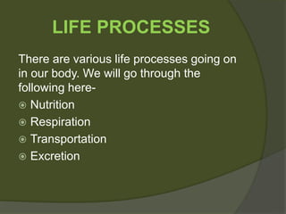 Life processes by joel | PPT